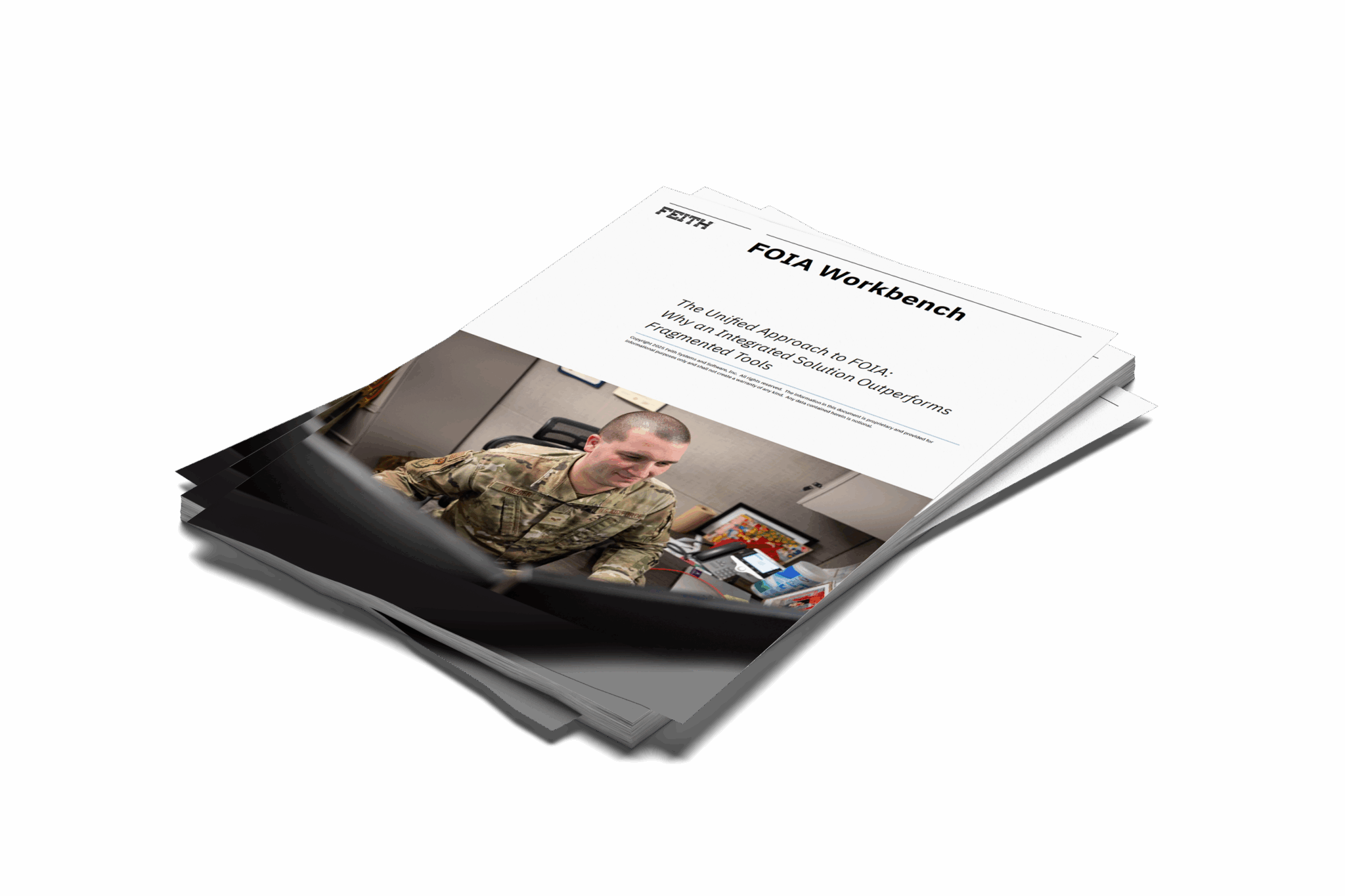 Get the FOIA White Paper | Feith Systems